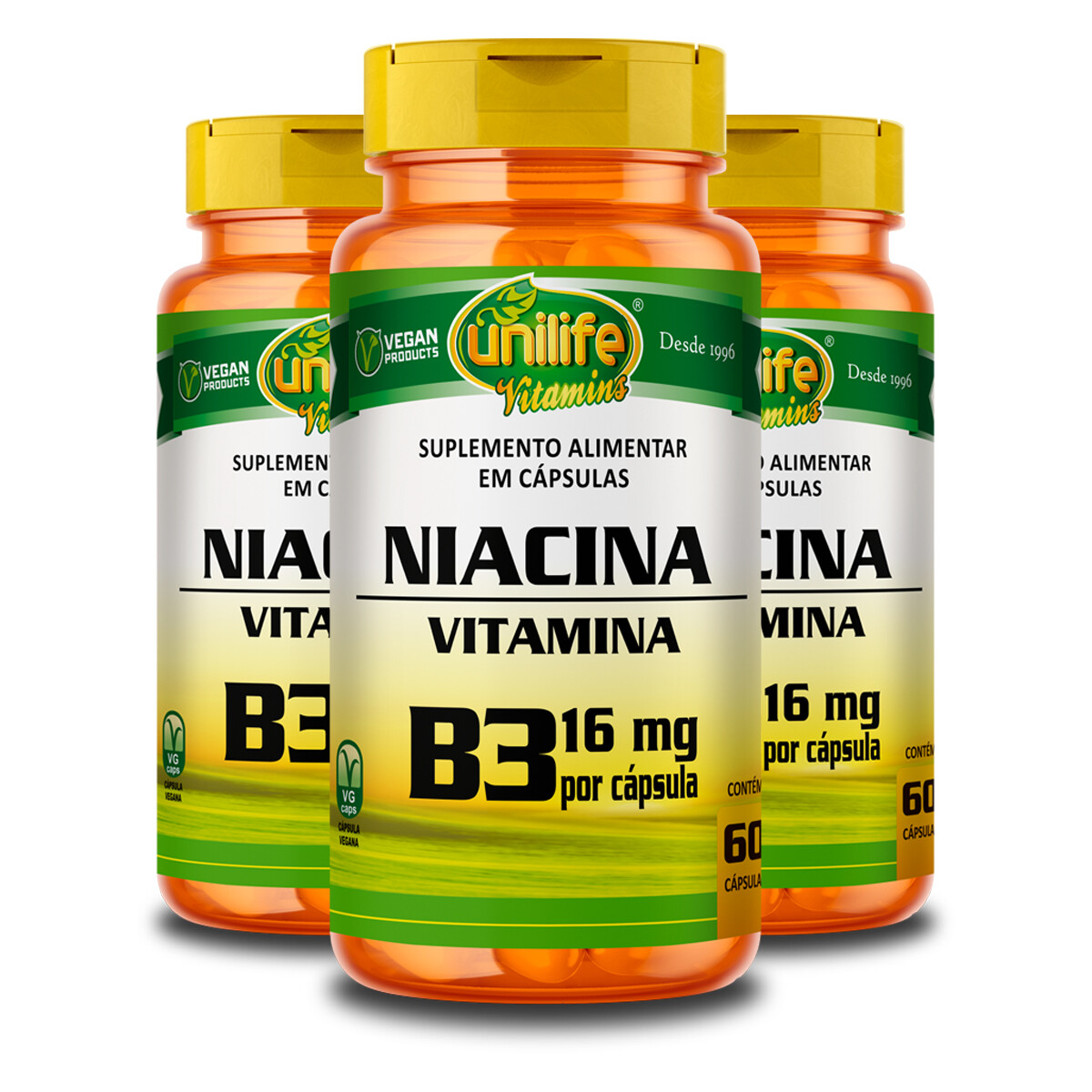 Kit 3 Vitamina B3 Niacina Unilife 60 Cápsulas